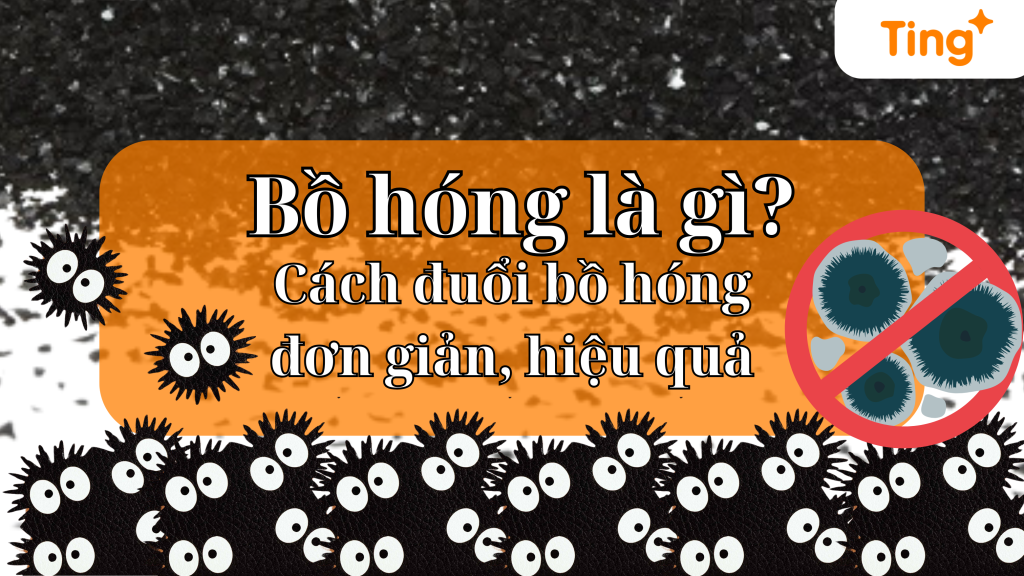 Bồ Hóng Là Gì? 8 Cách đuổi Bồ Hóng đơn Giản, Hiệu Quả