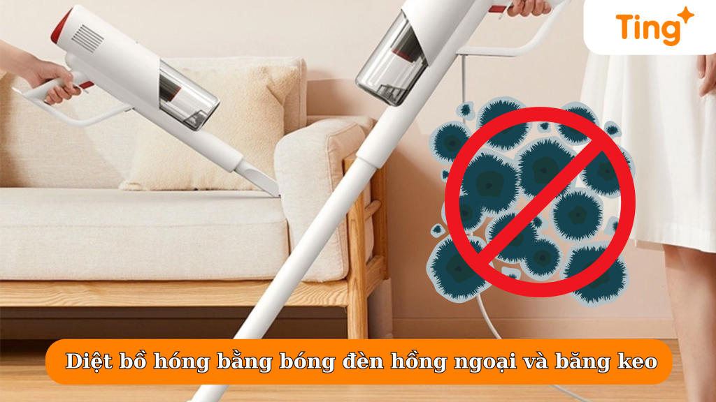 Bồ Hóng Là Gì? 8 Cách đuổi Bồ Hóng đơn Giản, Hiệu Quả